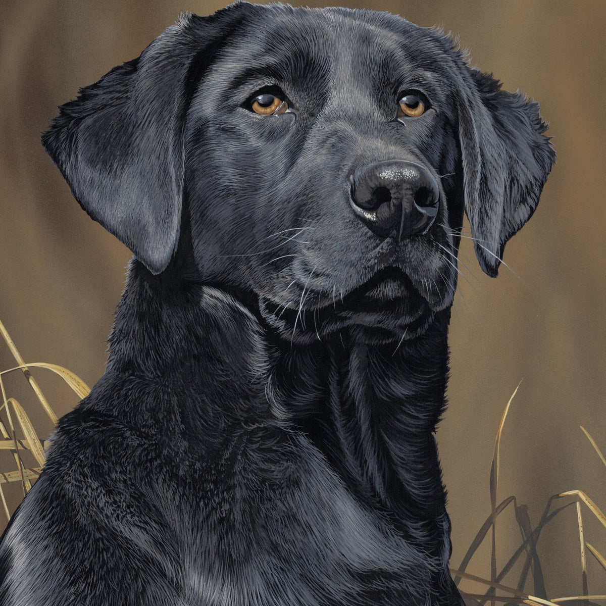 BLACK LAB PANEL – Quilter's Corner SD
